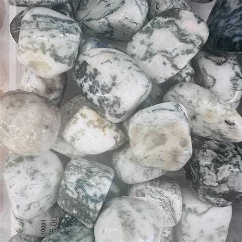 Tree Agate Tumbled Small Crystal Bliss