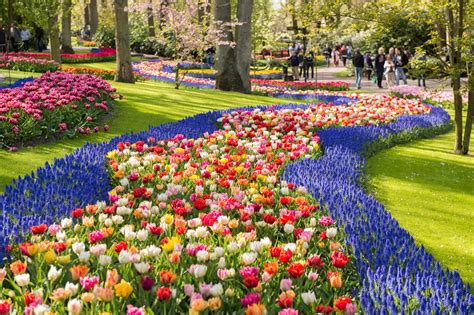 Best Time Of Year To Visit Keukenhof Gardens At Norma Taylor Blog