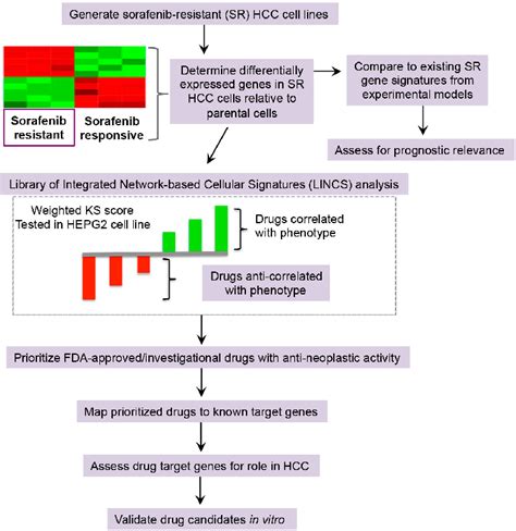 Figure 1 From Transcriptomics Based Drug Repurposing Approach Identifies Novel Drugs Against