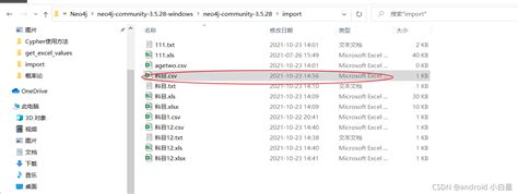 Neo4j如何导入本地的csv文件，并用python来获取图形neo4j数据库里面的数据？neo4j 如何拿到图形化界面的数据 Csdn博客