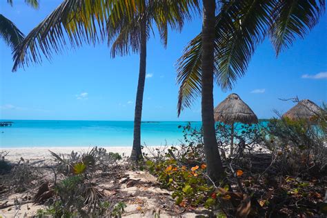 How To Get To Isla Contoy Mexico From Cancun A Guide To Visit The Last Paradise In The