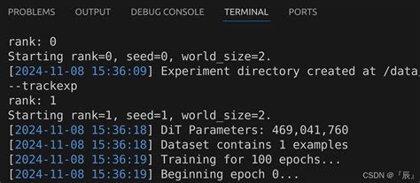 在 Vs Code 中将 Torchrun 指令加入调试配置debug 同时设置 Nnodes和 Data Path 原创