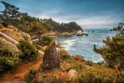 Point Lobos State Natural Reserve Maps Weather Hiking Wildlife