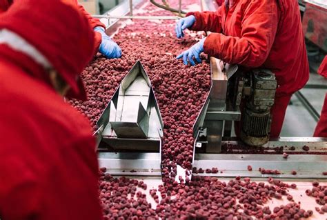 Food Processing Monitoring Cleanroom Management International