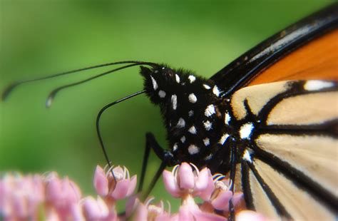 Top Design Magazine Web Design And Digital Content When Ugly Becomes