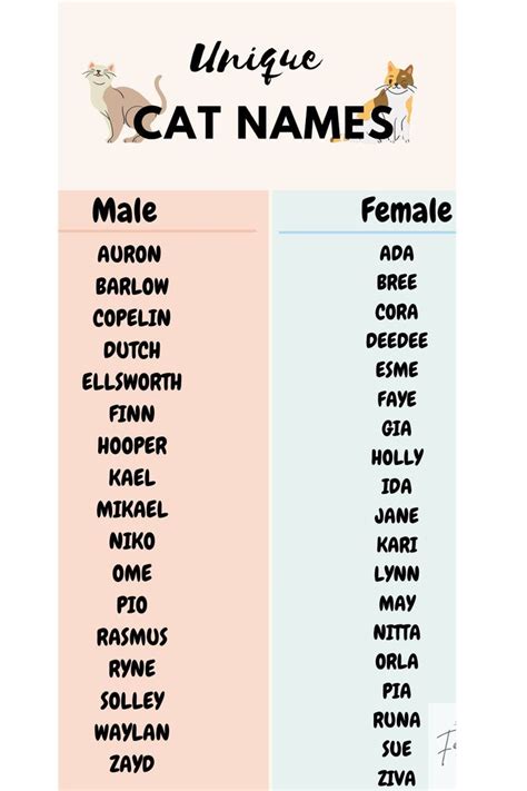 The 100 Most Popular Cat Names Of All Time Artofit