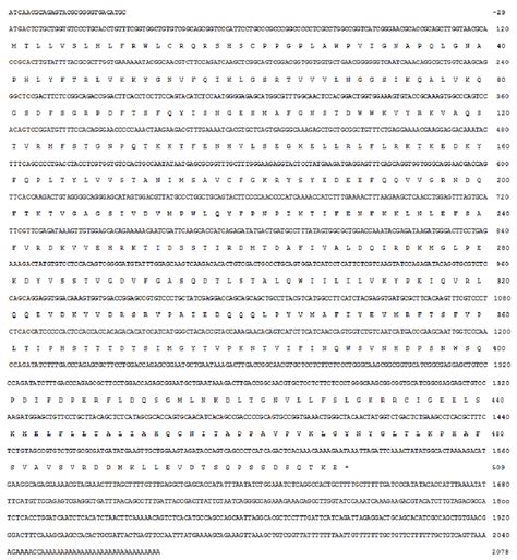 Nucleotide Sequence 2107 Bp Of Cytochrome Cyp1b1 Cdna And Its Deduced Download Scientific