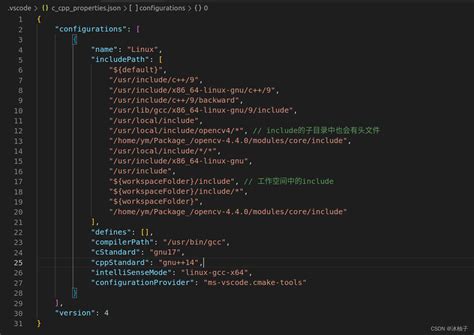 【vscode】使用vscode Debug C Csdn博客