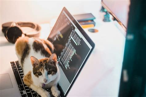 Fixing Common Bash Command Errors In Ubuntu And Wsl A Practical Guide