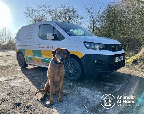 Animals At Home North Warks On Linkedin Rogan Is Demonstrating Our