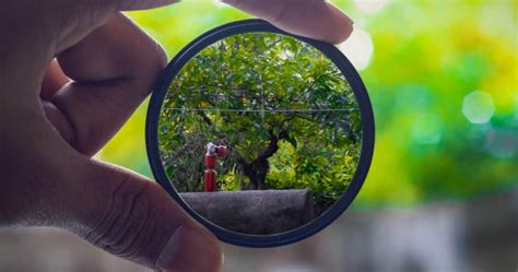 What Does A Uv Filter Do For A Camera A Simple Guide To Lens Protection