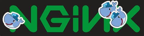 Passing Environment Variables Into A Dockerised Nginx