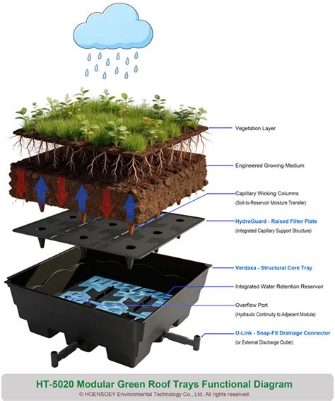 Design Considerations For Semi Intensive Green Roof Tray Systems