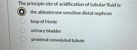 The Principle Site Of Acidification Of Tubular Fluid Is The Aldosterone Sensitive Distal