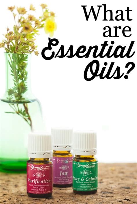 Essential Oils My Story How A Non Recycler Came To Love Plant Oils