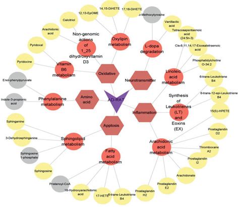 Of Metabolite Classification In Metabolomics A Blank Vs Model Ad