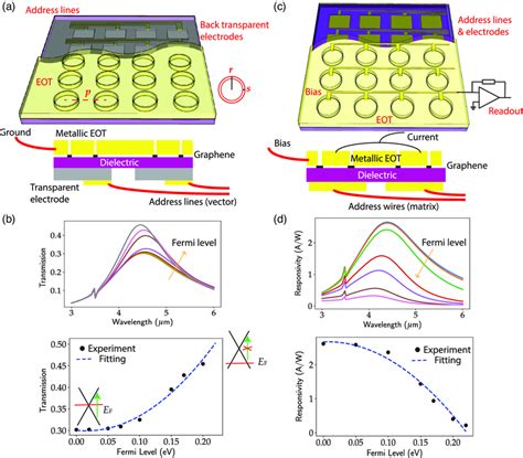 Implementation Of Graphene‐based Slms And Tunable‐responsivity Download Scientific Diagram