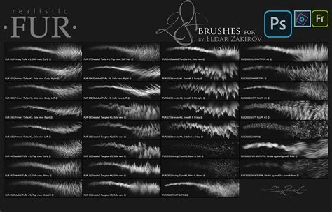 Realistic Fur • Brushes For Photoshop Behance