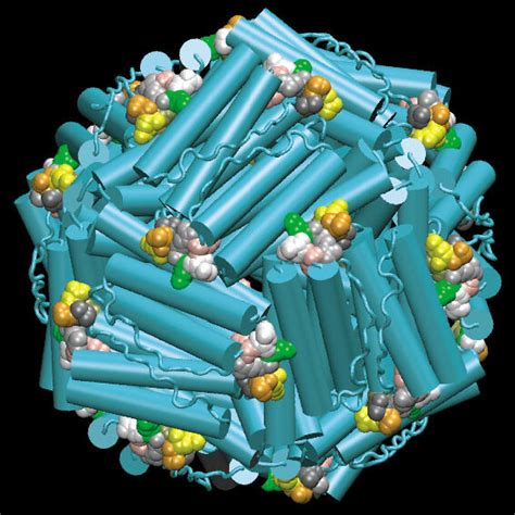 A Picture Of A L Type Ferritin Molecule From The Side Of The Three Fold