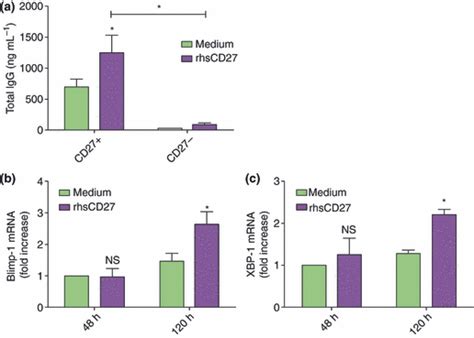 Soluble Cd27 Induces Igg Production Through Activation Of Antigen