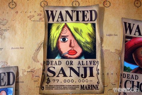 원피스 현상금 포스터 루피해적단 9인의 현상수배지 구버전 루피 3억 시절 네이버 블로그