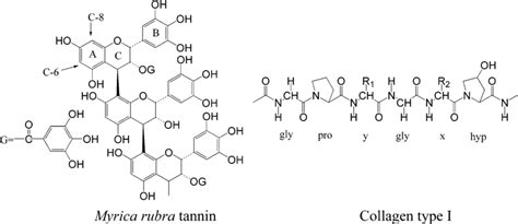 Scheme Of Chemical Structure Of Myrica Rubra Tannin And Primary Amino