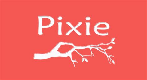 Création De Sacs En Cuir Pixie Cuir Châlons En Champagne