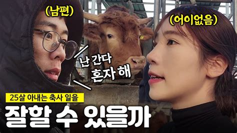 소키우는게 적성인 25살 애둘맘 소100마리ㅣ남편의실험ㅣ의심가득ㅣ와이프독립ㅣ축산업ㅣ시골브이로그ㅣ워킹맘ㅣ힐링브이로그ㅣ일상ㅣ
