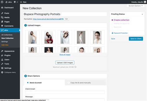Client Proofing Workflow With Picu