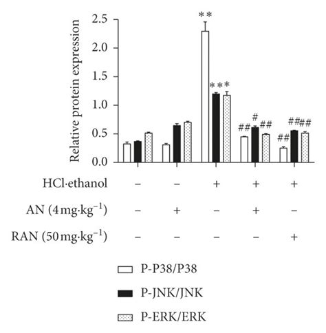 Expression Of Mapknf κb Signaling Pathway Related Proteins In The