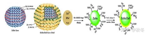 二种水溶性cdse Zns核売光量子点 近红外二区量子点齐岳定制 知乎