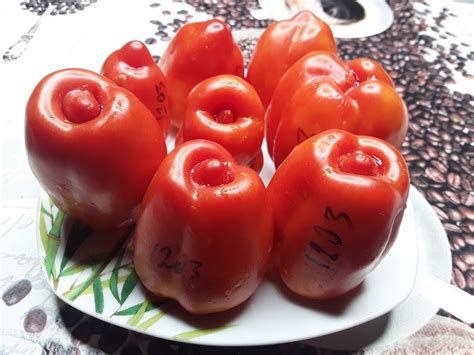 Семена Томат Ароматная Красавица Tikla Sundari Красноплодные сорта томатов Семена томатов