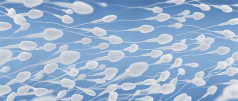 Donor Sperm Ivf In Cyprus
