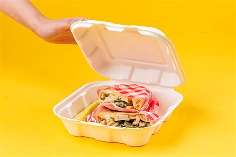 Medium Bagasse Food Containers Food Containers Wholesale