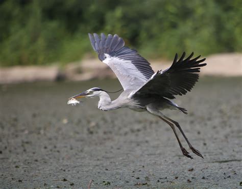 이미지 공유 마당