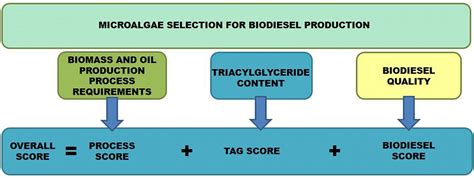 Selecting The Best Microalgae For Biodiesel Production
