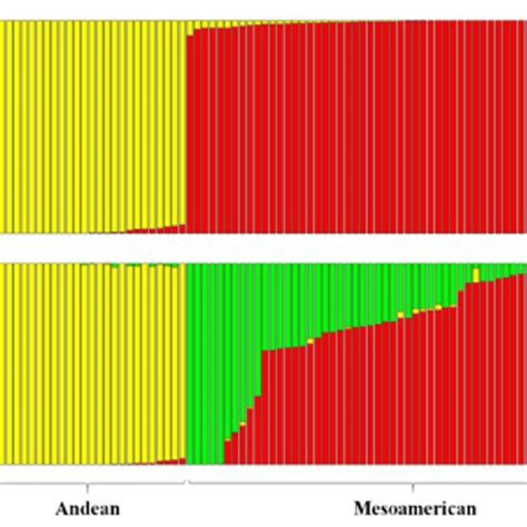 Population Structure Analysis For 86 Common Bean Accessions From The