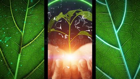 Bio Technologies For Growing Plants And Scientific Research In The