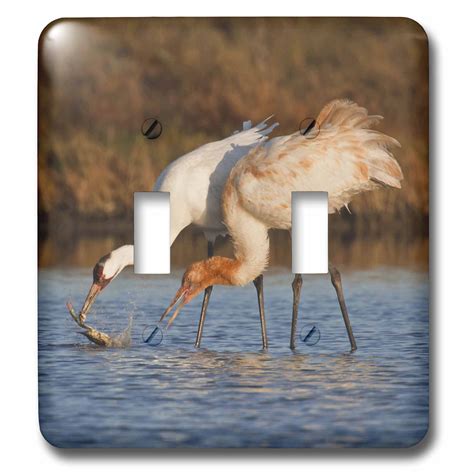 3drose Whooping Crane Bird Aransas Refuge Texas Usa Us44 Ldi0624