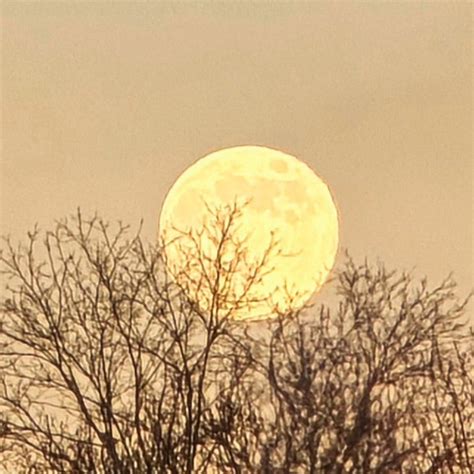 Anna I Anne Kathrin Anna I Anne Kathrin Hoffmann Quittek