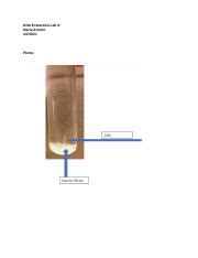 DNA Extraction Lab 6 Docx DNA Extraction Lab 6 Maria Armeni 3373021