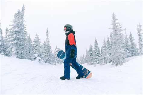 얼어붙은 숲 속의 겨울 스노보드 모험 · 무료 스톡 사진
