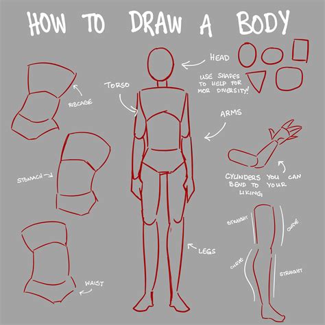 Pin By Just A Pal On Anatomy Art Tools Drawing Sketches Tutorial