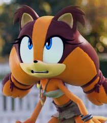 Sticks The Jungle Badger Voice Sonic Boom Rise Of Lyric Commercial