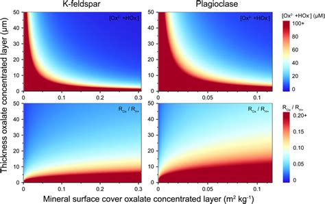 Model Results Oxalate Concentration And R L R H D Results From