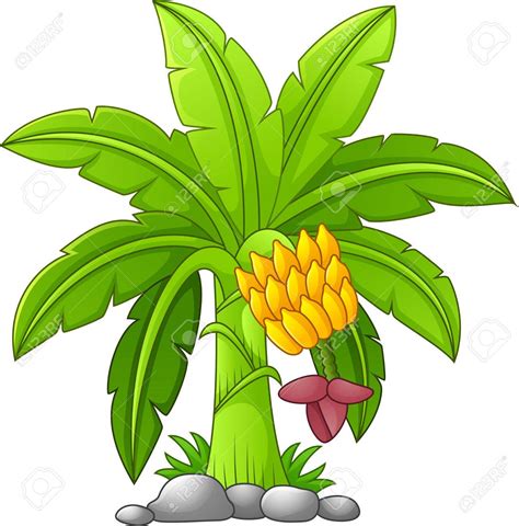 The Best Free Banana Clipart Images Download From 245 Free Cliparts Of