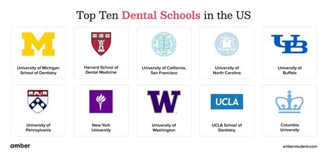 Discover 15 Best Dental Schools In The Us In 2024 Amber