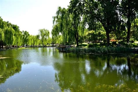 北京陶然亭夏天風景 每日頭條