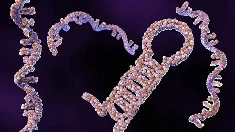 Rna Editing Characterized In The Aging Brain With Alzheimers Disease