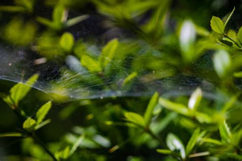 Amoung 이미지 찾아보기 535 스톡 사진 벡터 및 비디오 Adobe Stock